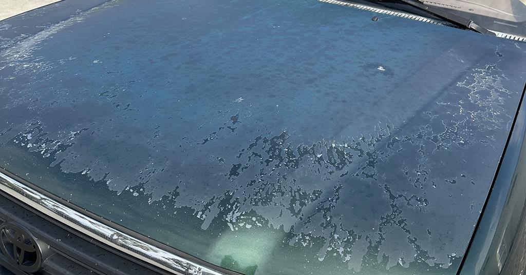 DIY Rattle-can Clearcoat: Restoring The Showroom Look Of The OVR Land ...