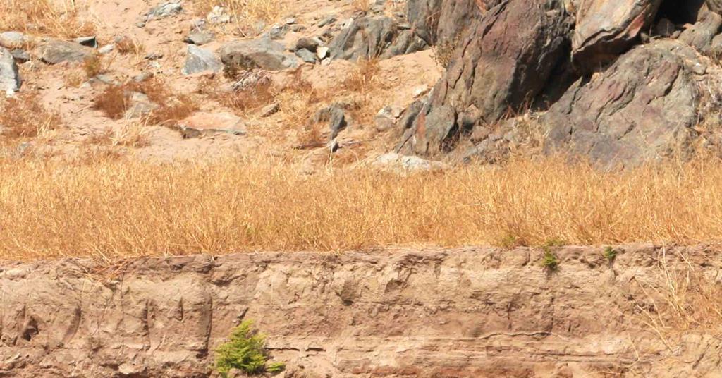 Front Runner's Epic Beginning: Building the Ultimate Overland ...