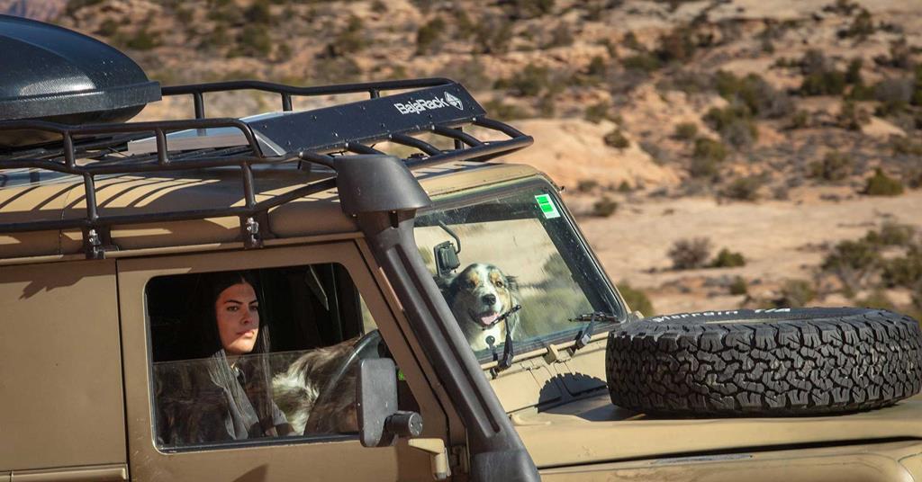 Roaming Reckless: Woman and Dog Travel America in Right-Hand-Drive ...
