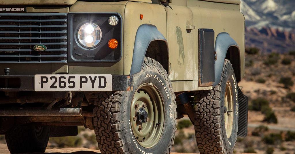 Roaming Reckless: Woman and Dog Travel America in Right-Hand-Drive ...