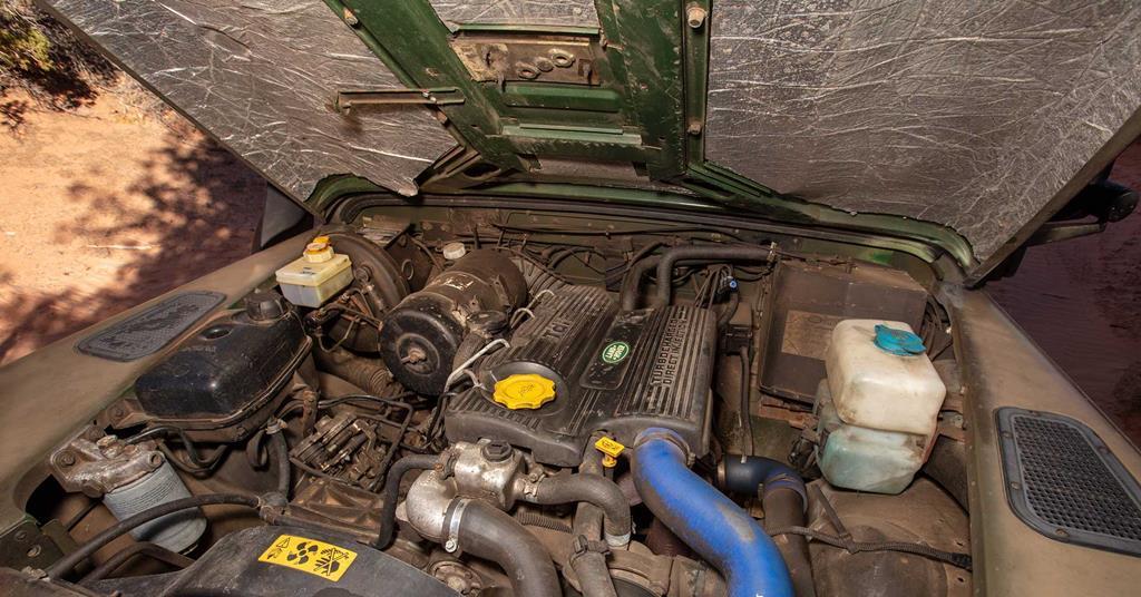 Roaming Reckless: Woman and Dog Travel America in Right-Hand-Drive ...