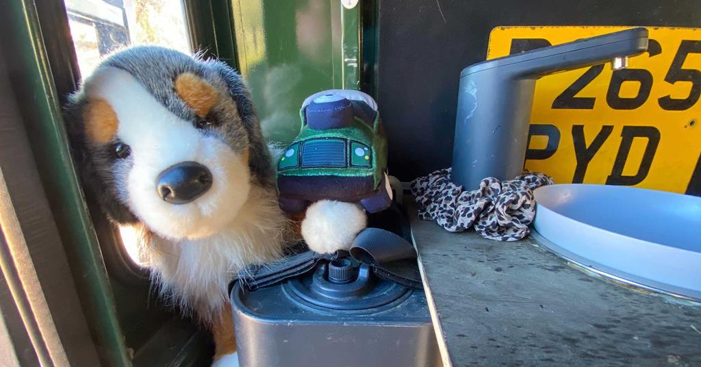 Roaming Reckless: Woman and Dog Travel America in Right-Hand-Drive ...