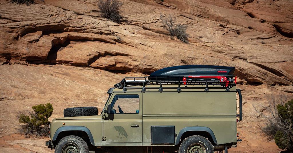 Roaming Reckless: Woman and Dog Travel America in Right-Hand-Drive ...