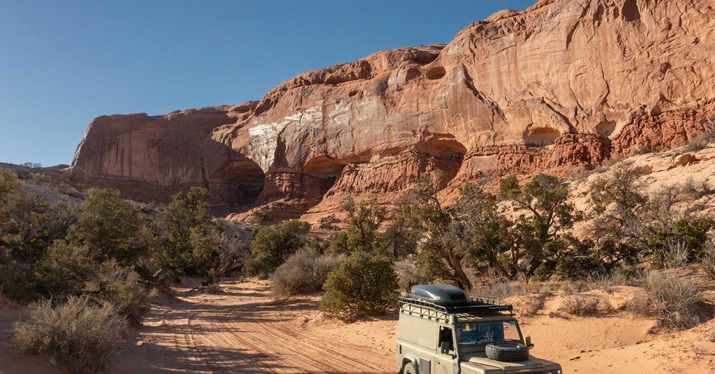 Roaming Reckless: Woman and Dog Travel America in Right-Hand-Drive ...