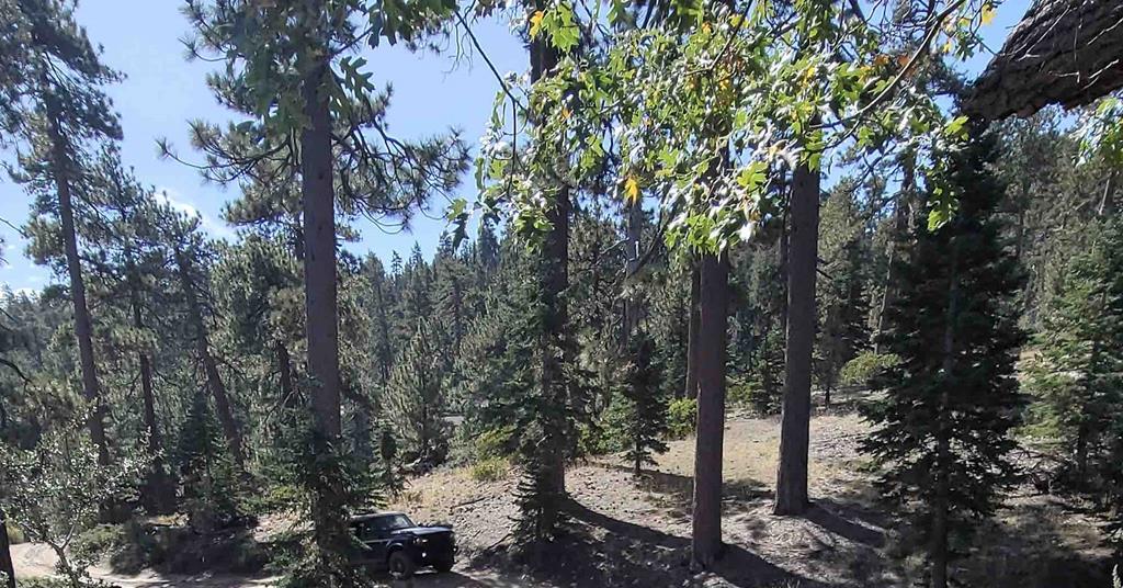 Solid Wood Worx Bronco Drawer Storage Review: 100-Day Field Test | 2021 ...