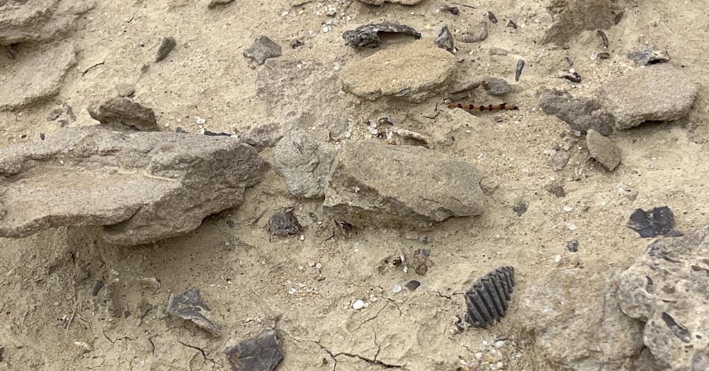 ROAD TRIP: Exploring the Yuha Desert and the Juan Bautista Trail ...