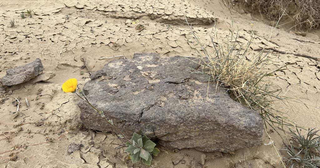 ROAD TRIP: Exploring the Yuha Desert and the Juan Bautista Trail ...