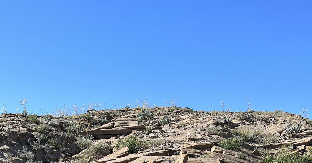 ROAD TRIP: Exploring the Yuha Desert and the Juan Bautista Trail ...