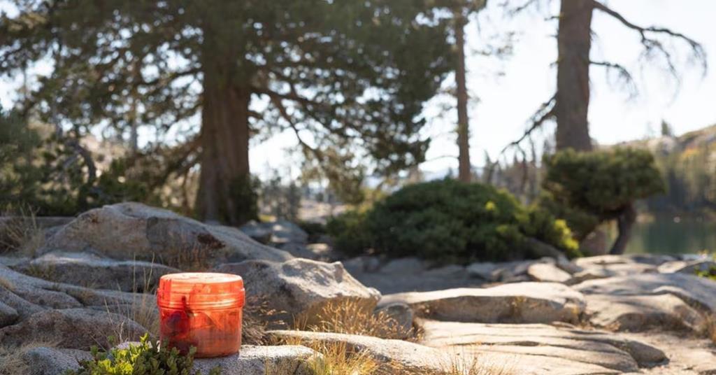 Why You Need a Bear Canister for Outdoor Adventures | OVR Mag