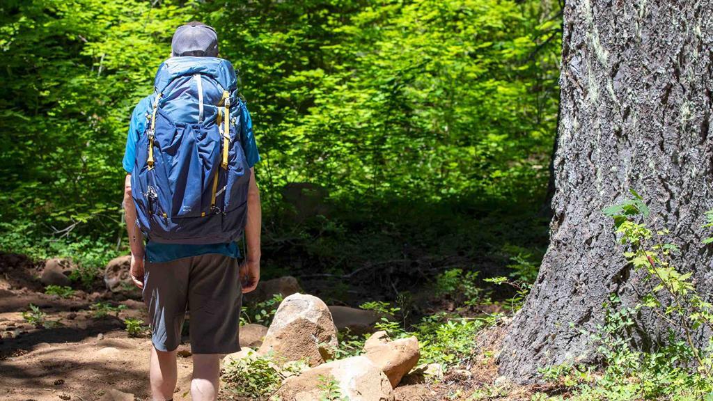 REVIEW: Discover the Decathlon Forclaz MT900: The Ultimate Ultralight ...