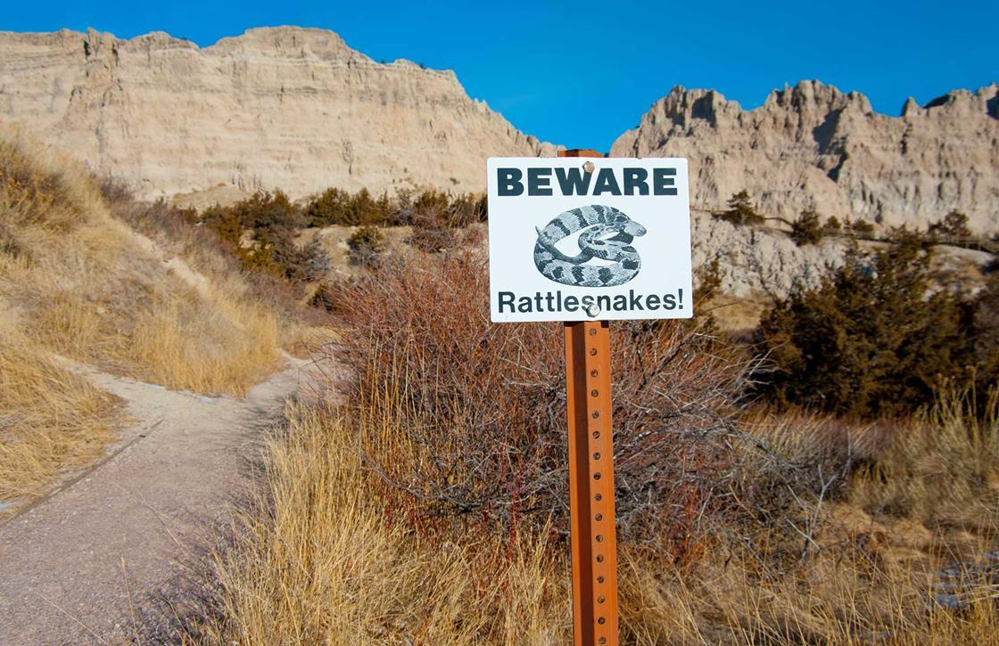 Nope Rope: How to Avoid Venomous Snakes and What to Do If You Couldn’t ...