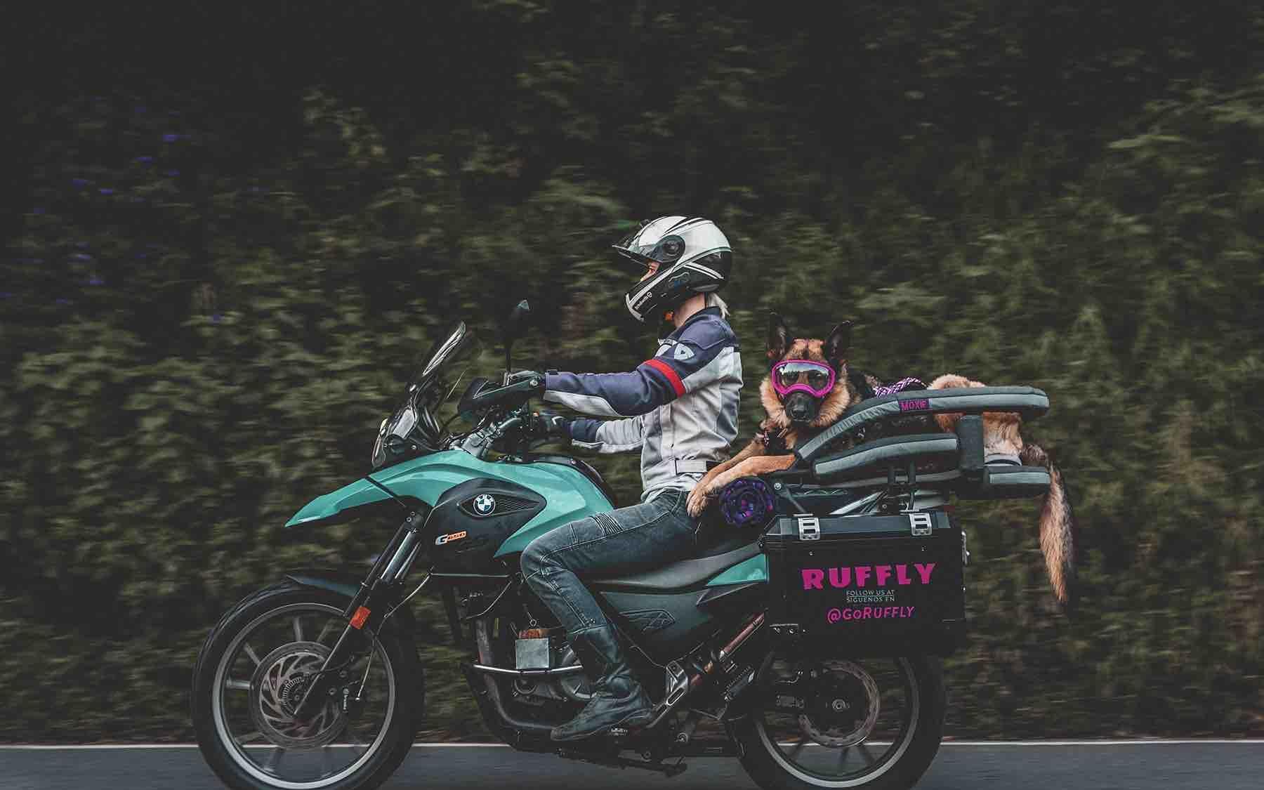 Preserving Nature’s Majesty: An Insightful Conversation With Alison ...