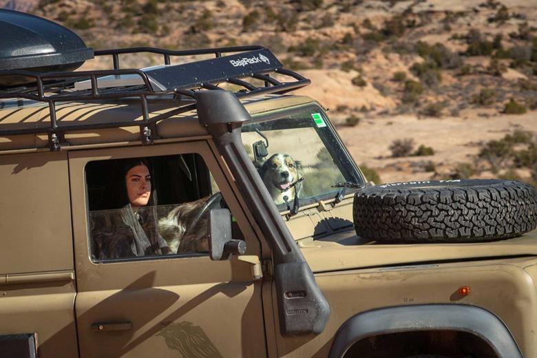 Roaming Reckless: Woman and Dog Travel America in Right-Hand-Drive ...